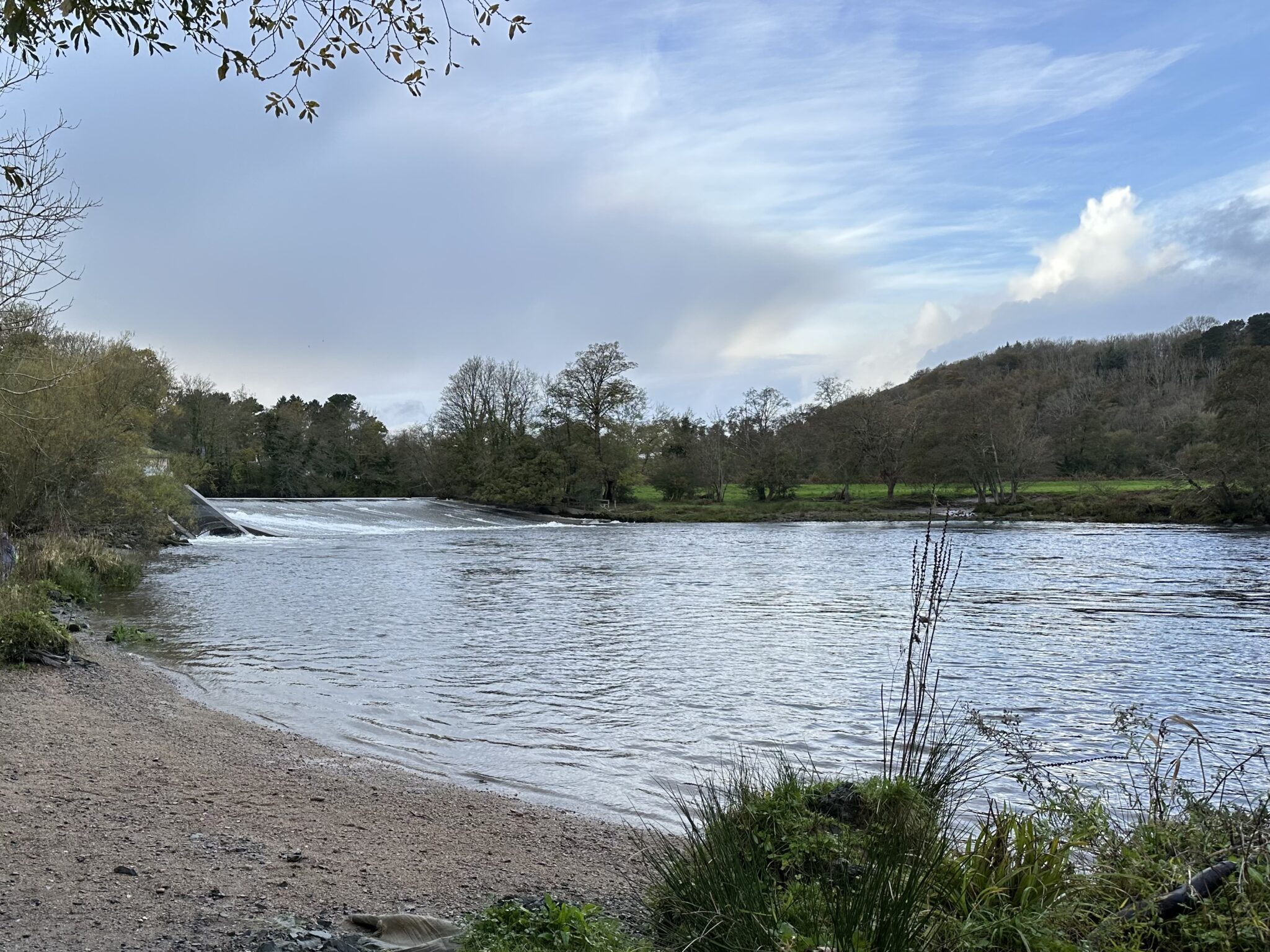 JOURNAL – River Dart Wild Church